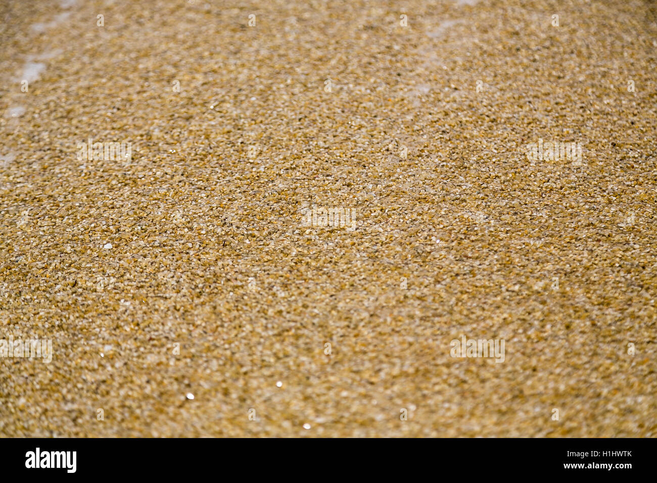 close up of ocean sand for background and composing Stock Photo - Alamy