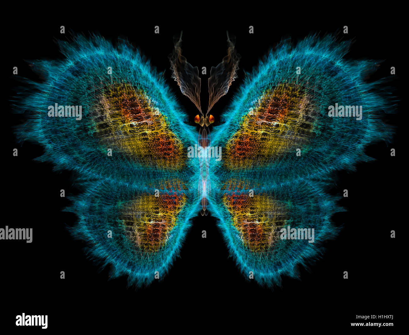Magic of Butterfly Stock Photo - Alamy