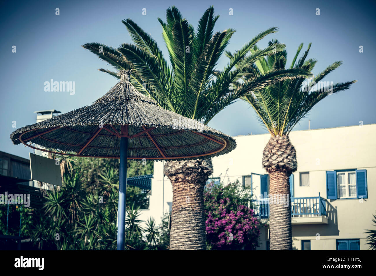 straw parasol with two palm trees and a greek house in backgroun Stock ...