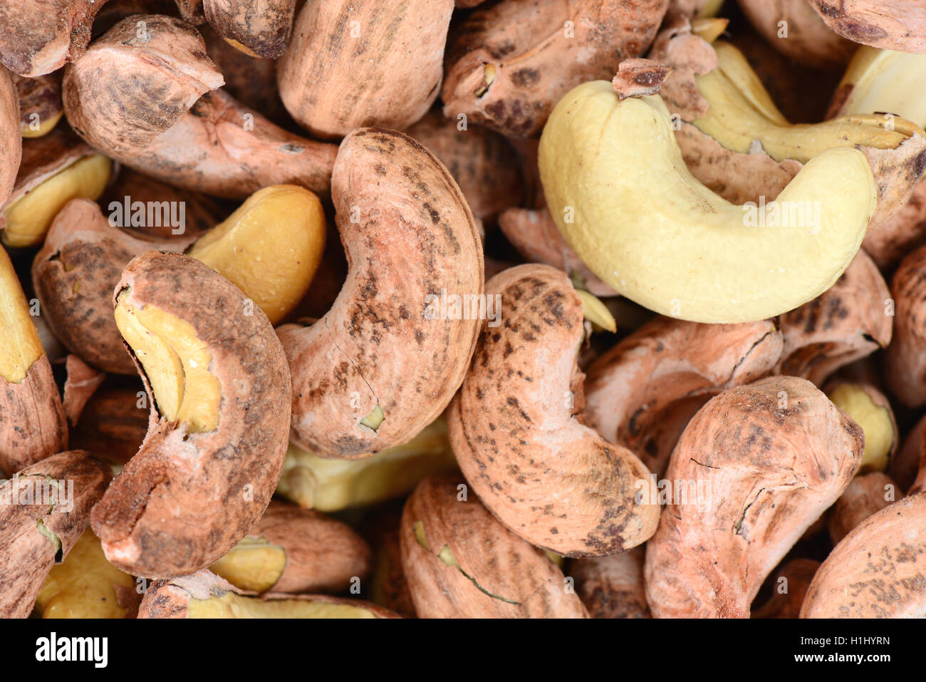 cashews with shell Stock Photo - Alamy