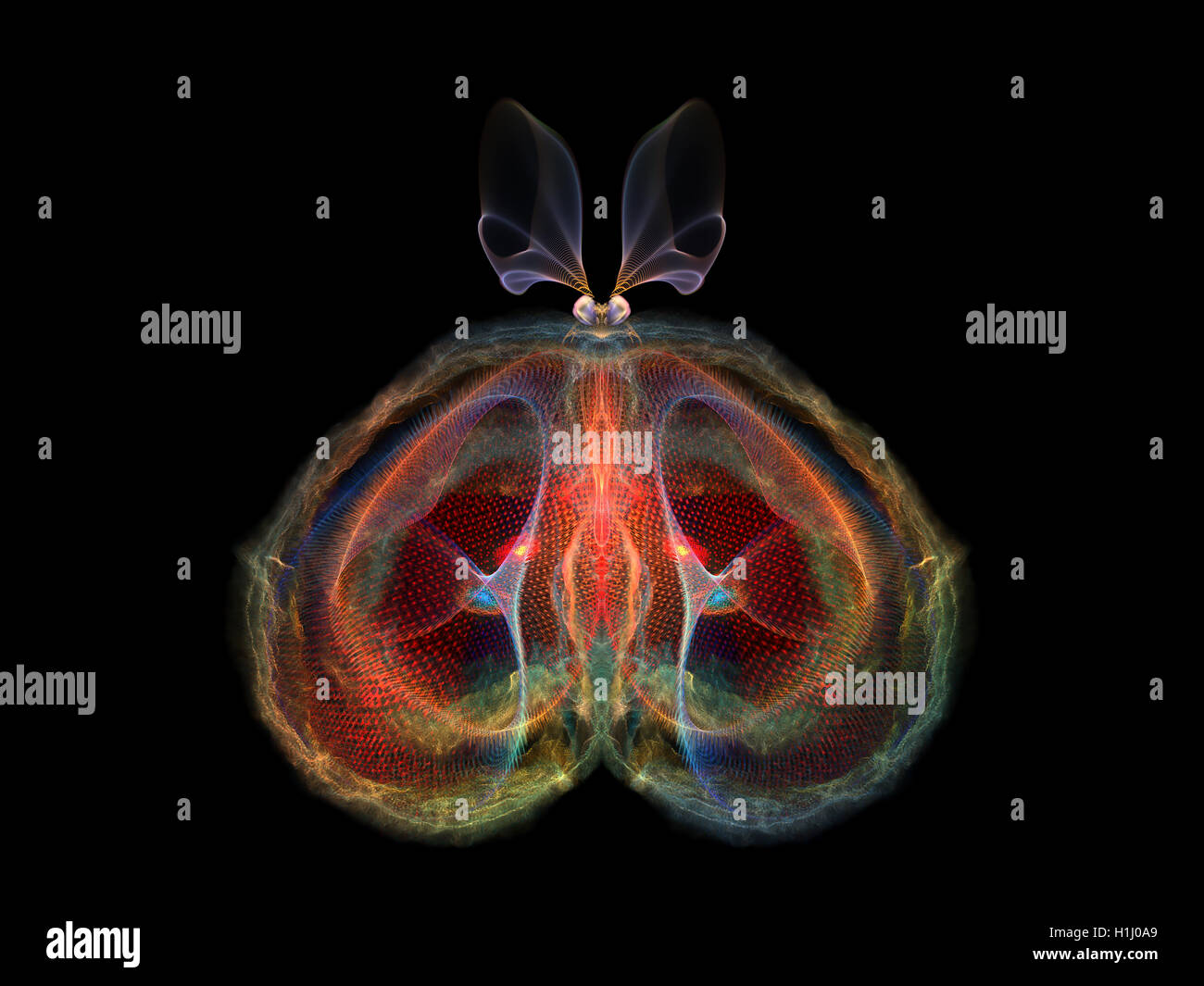 Shining butterfly hi-res stock photography and images - Alamy