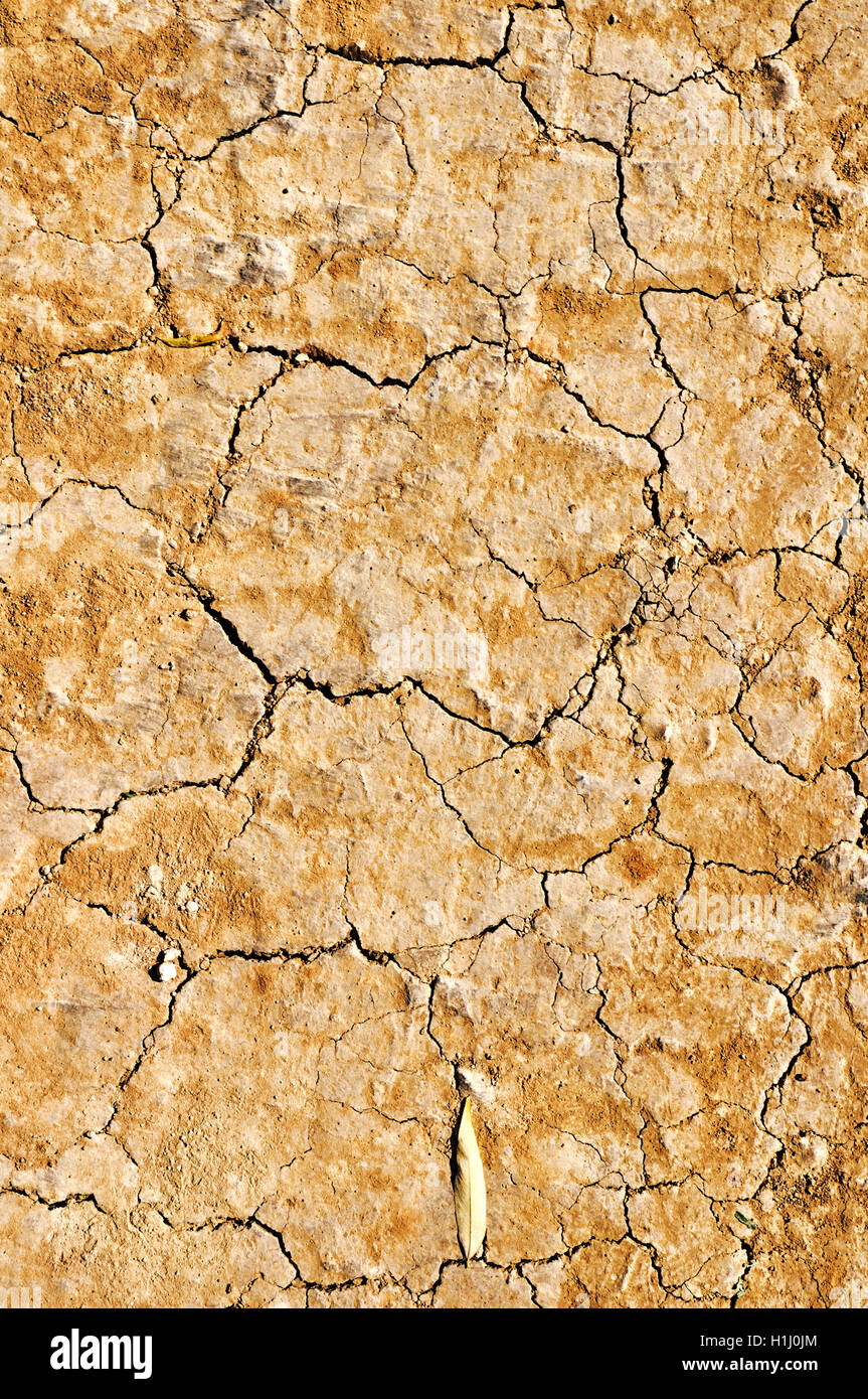 Arid backdrop hi-res stock photography and images - Alamy