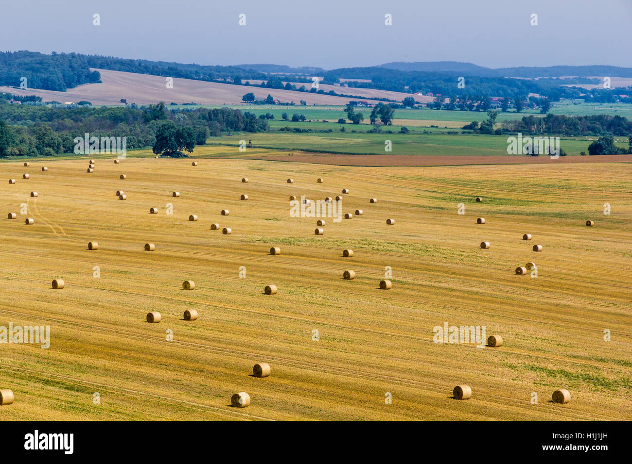 havest field with bale of straw Stock Photo - Alamy