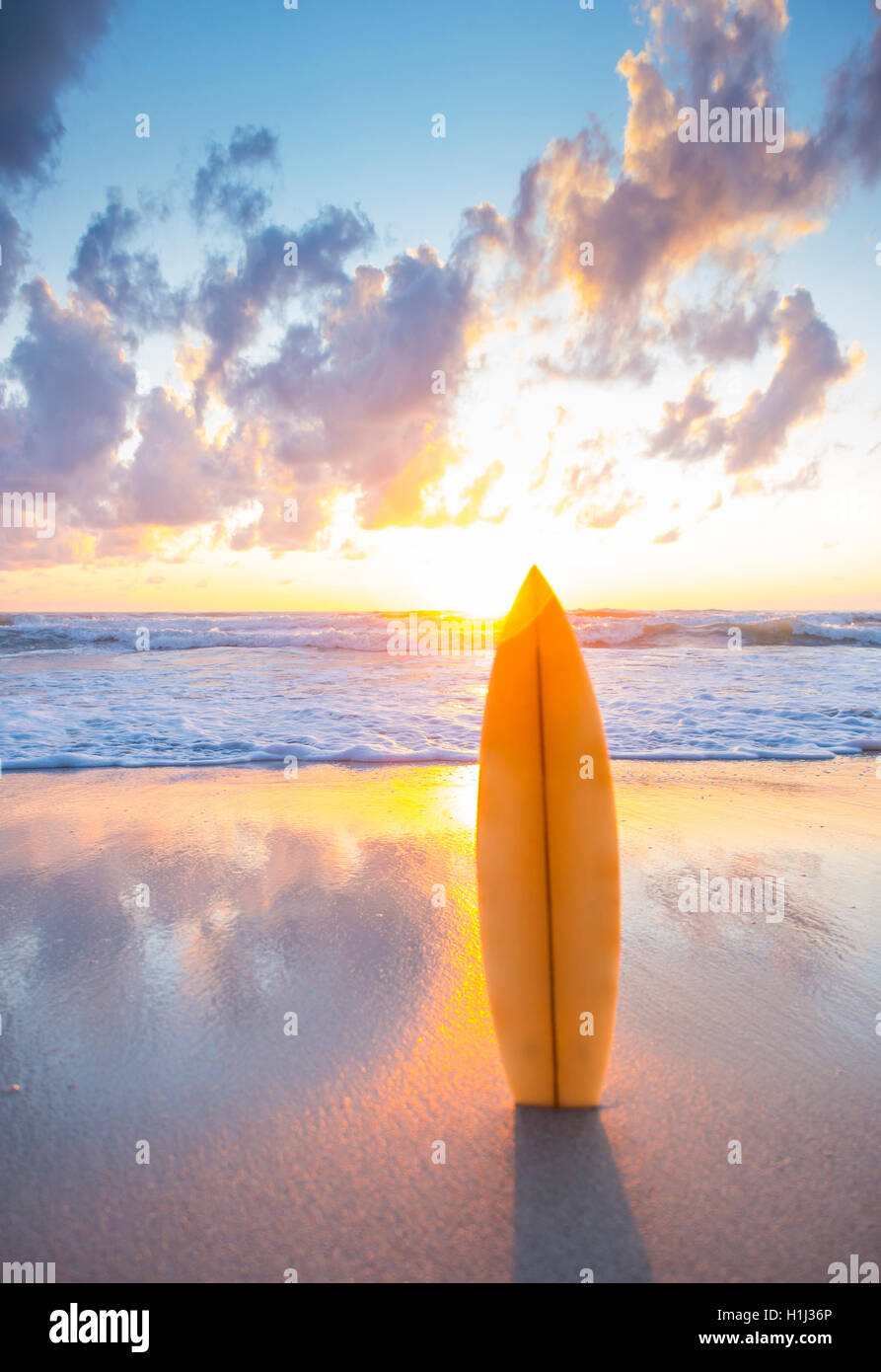 Surfboard on the beach at sunset Stock Photo - Alamy
