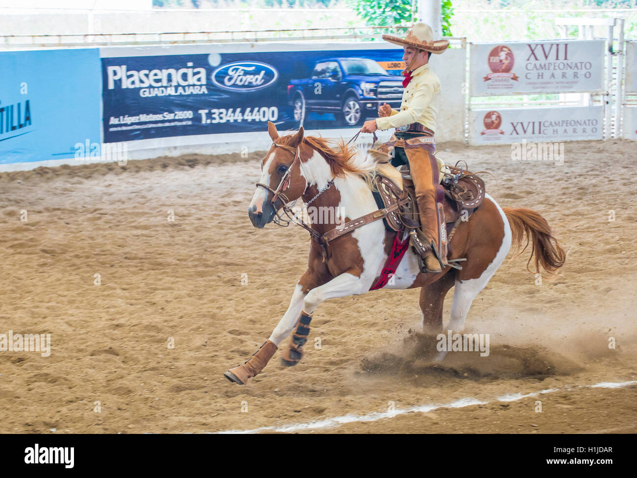 Charro participates at the 23rd International Mariachi & Charros ...
