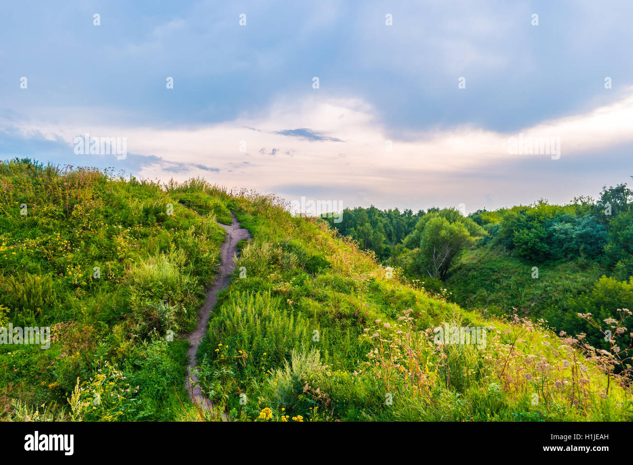 Pathway on a hill with wildflowers Stock Photo - Alamy