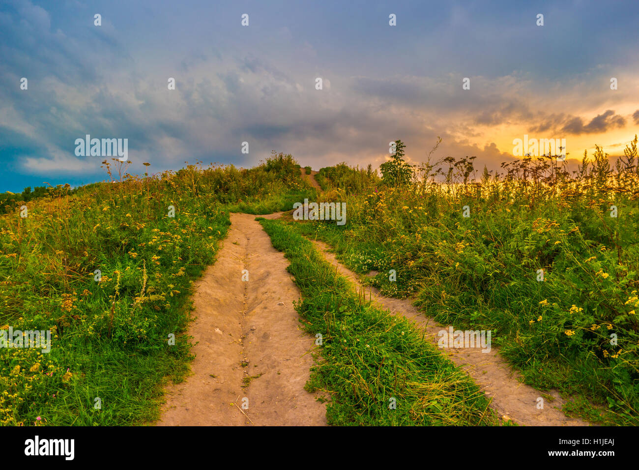 Pathway on a hill with wildflowers Stock Photo - Alamy