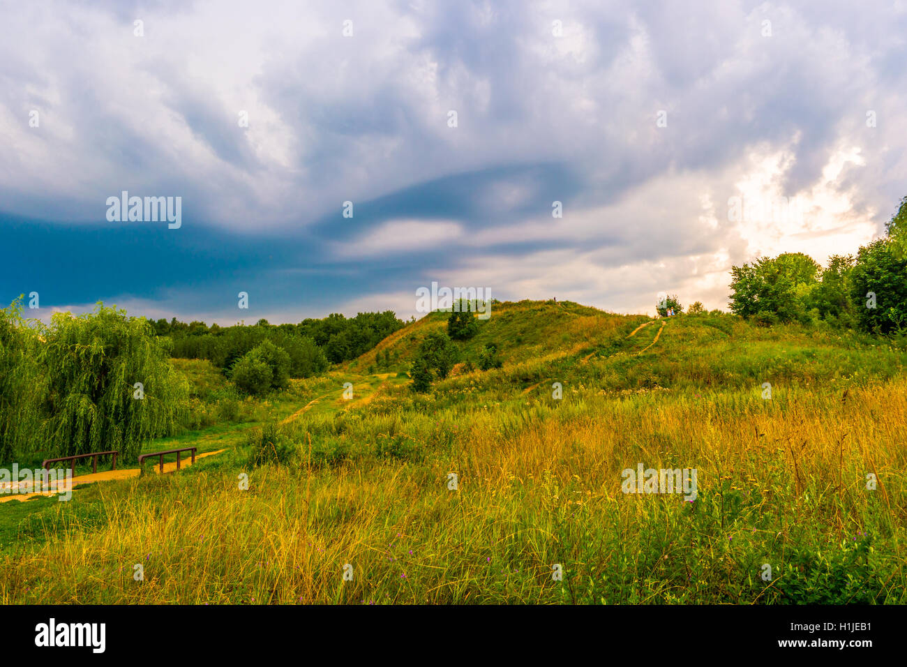 Pathway on a hill with wildflowers Stock Photo - Alamy
