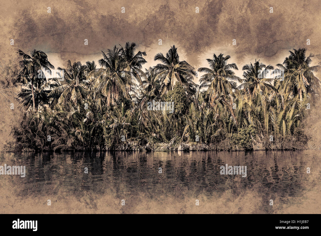 Palm trees on sea shore at beautiful sunny day Stock Photo - Alamy