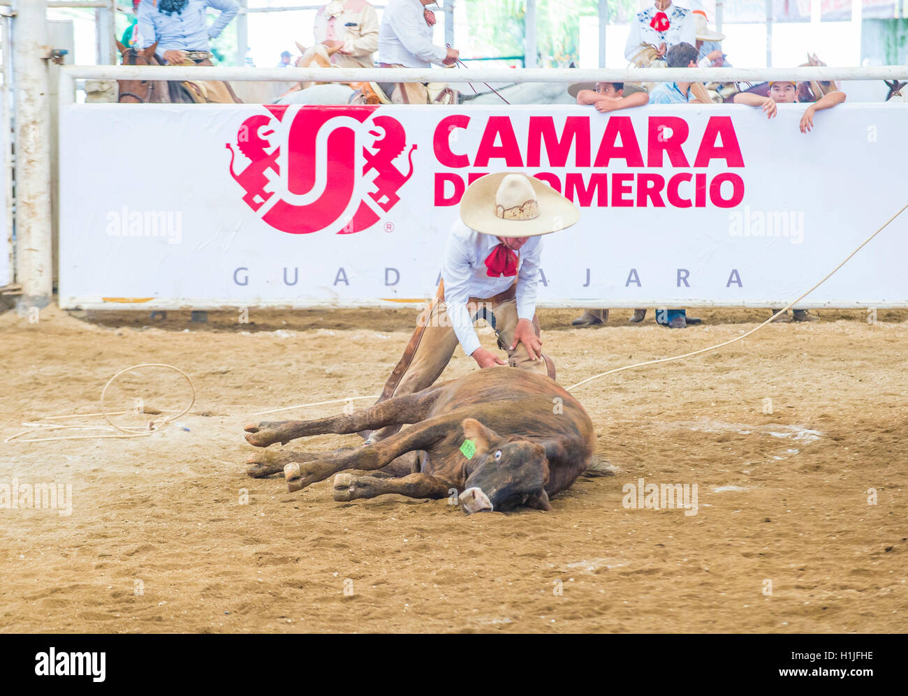 Charro participates at the 23rd International Mariachi & Charros ...