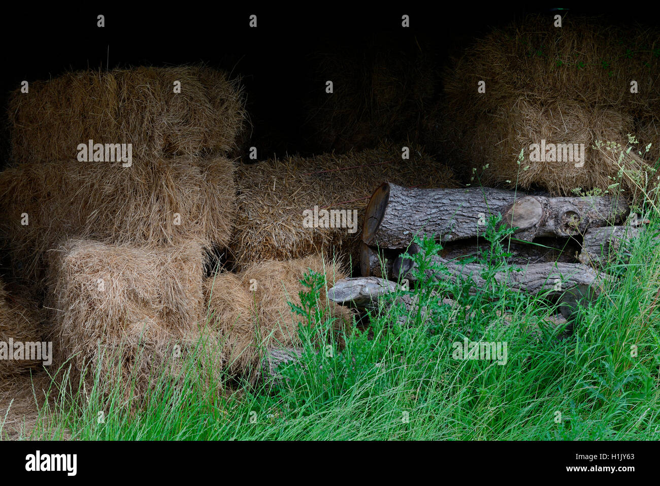 Heu hi-res stock photography and images - Alamy