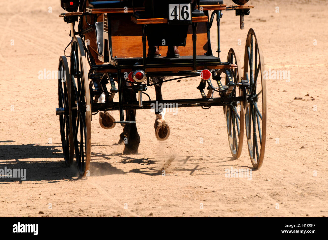 Combined Driving, carriage, equestrian sport, harness Stock Photo - Alamy