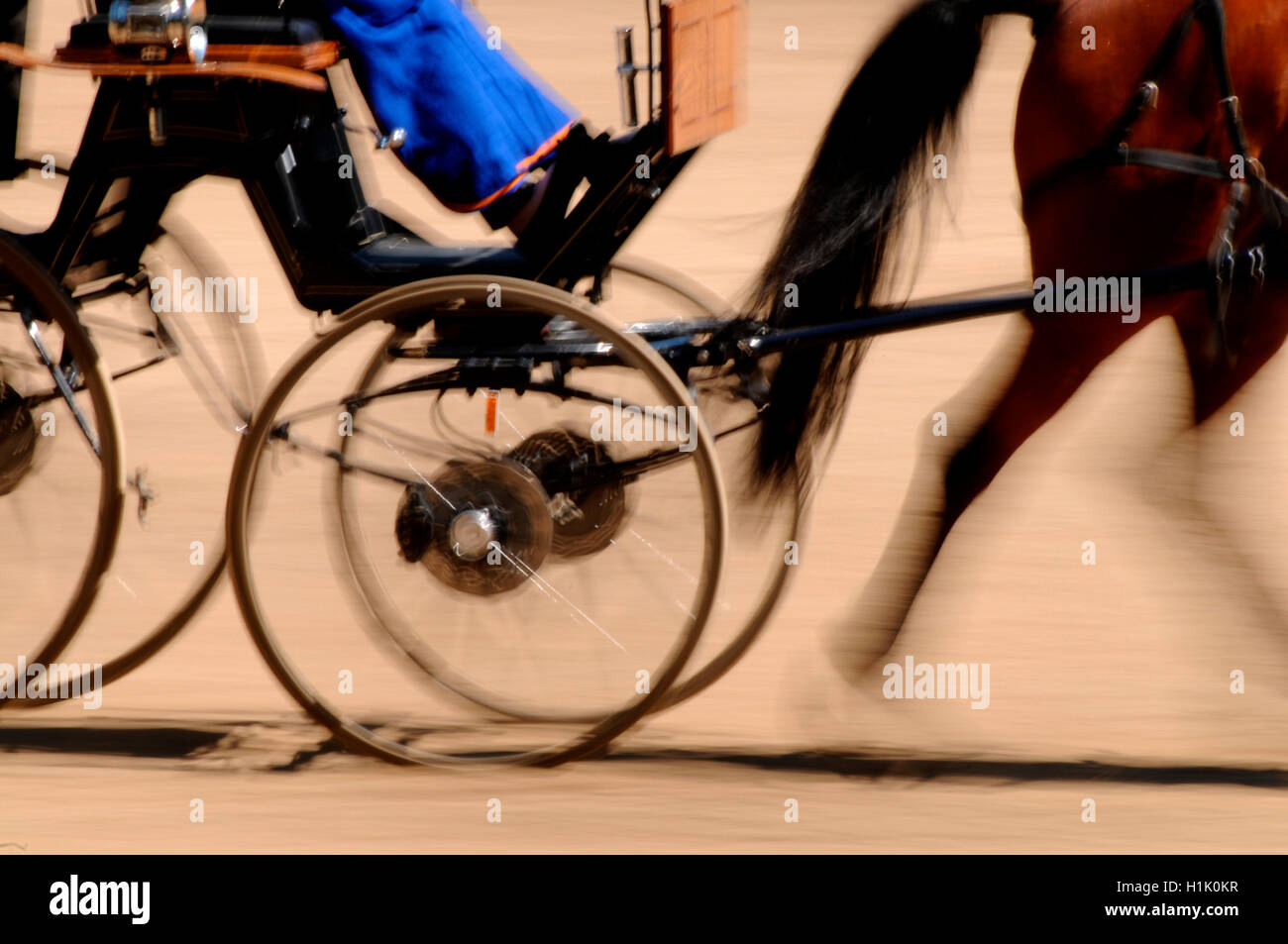 Combined Driving, carriage, equestrian sport, harness Stock Photo - Alamy