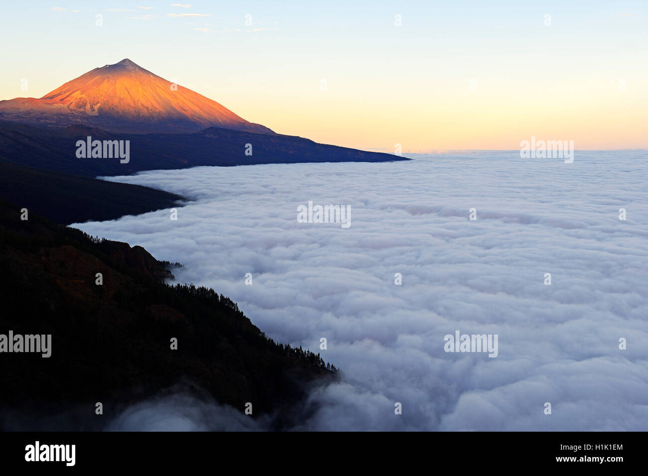 Pico del teide bei sonnenaufgang ueber passatwolken hi-res stock ...