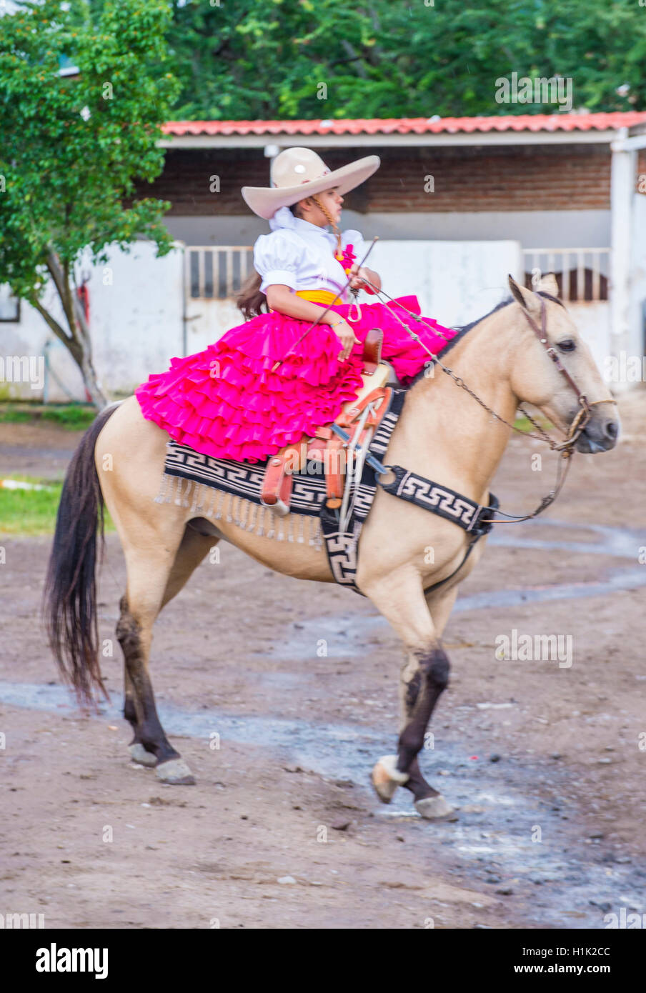 Charras participate at the 23rd International Mariachi & Charros ...