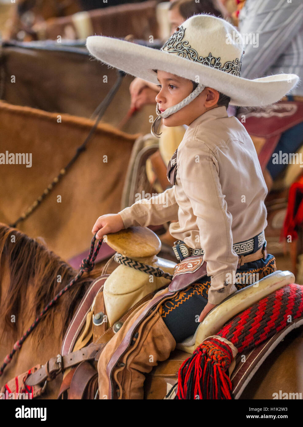Young Charro participates at the 23rd International Mariachi & Charros ...