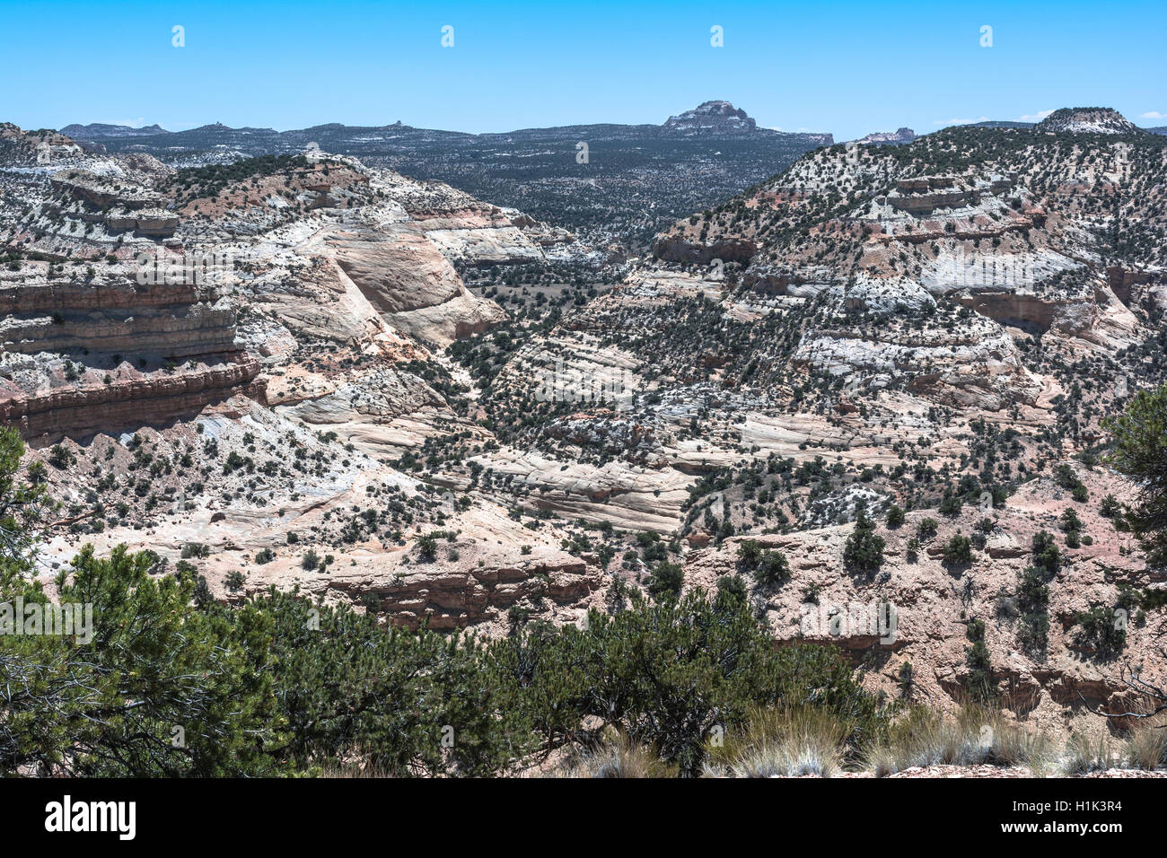 Early Castle Valley landscape, Utah Stock Photo - Alamy