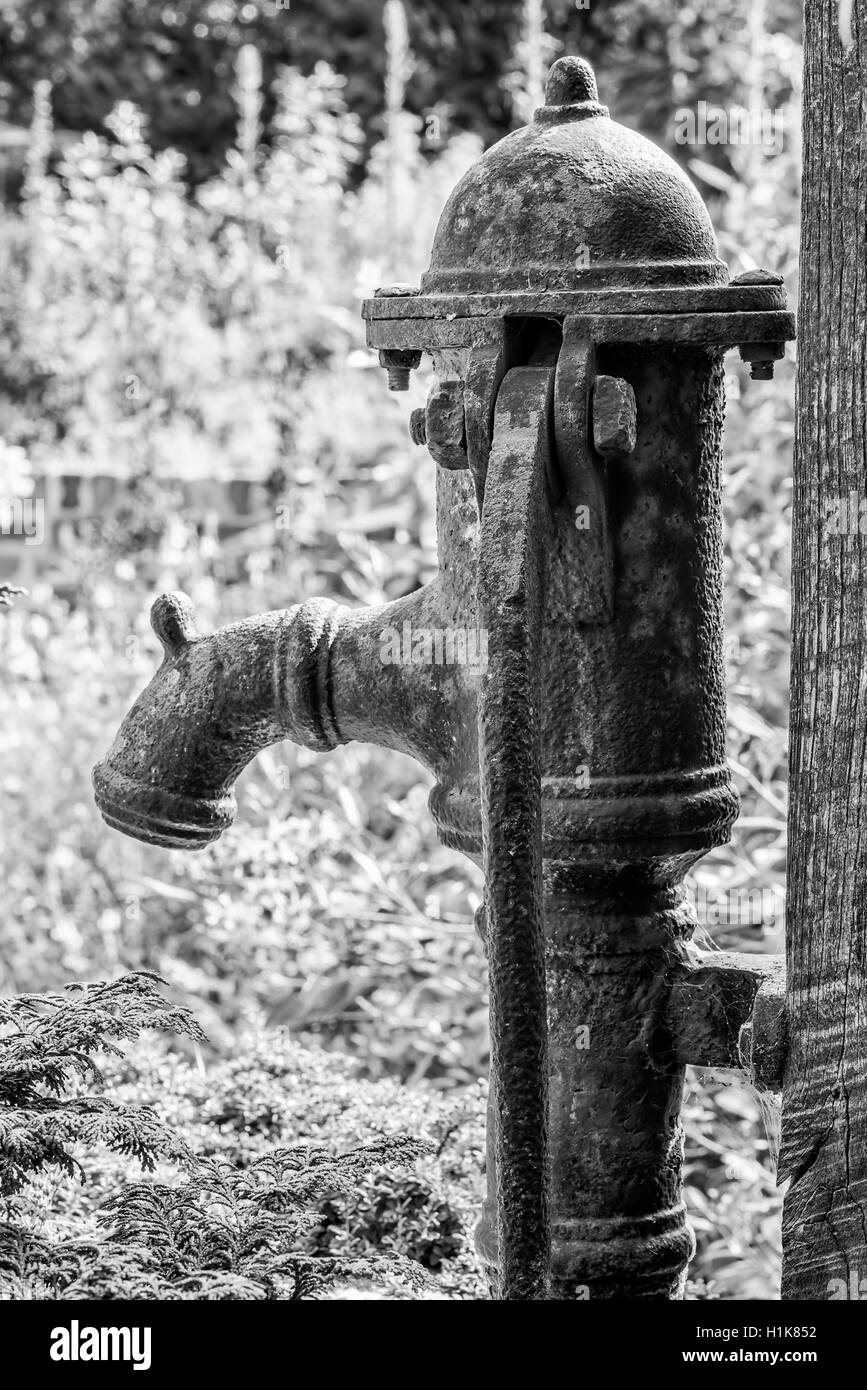 Vintage old rusted water pump in abandoned garden in black and white ...