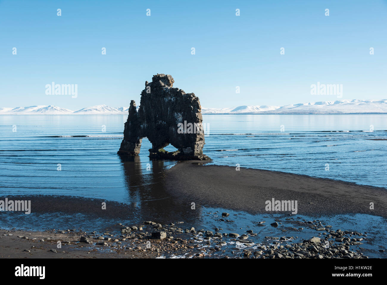 Hvitserkur, Elephant Rock on lava beach, natural basalt rock formation ...