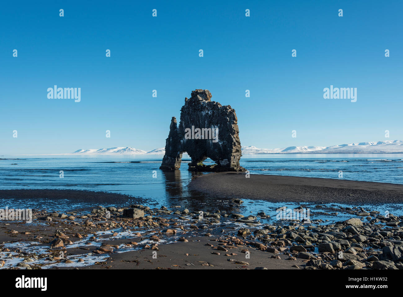 Hvitserkur, Elephant Rock on lava beach, natural basalt rock formation ...