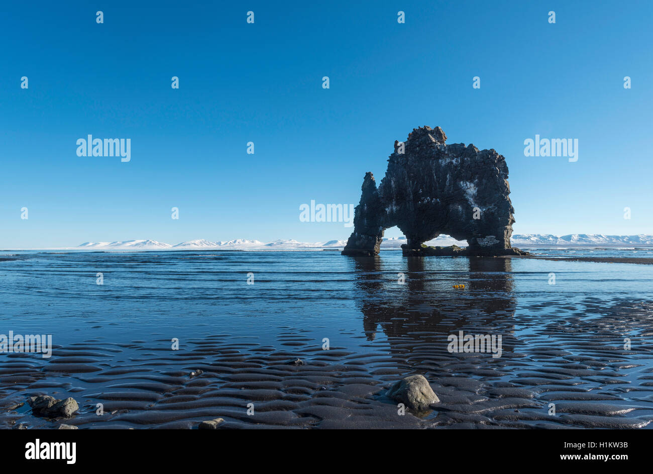 Hvitserkur, Elephant Rock on lava beach, natural basalt rock formation ...