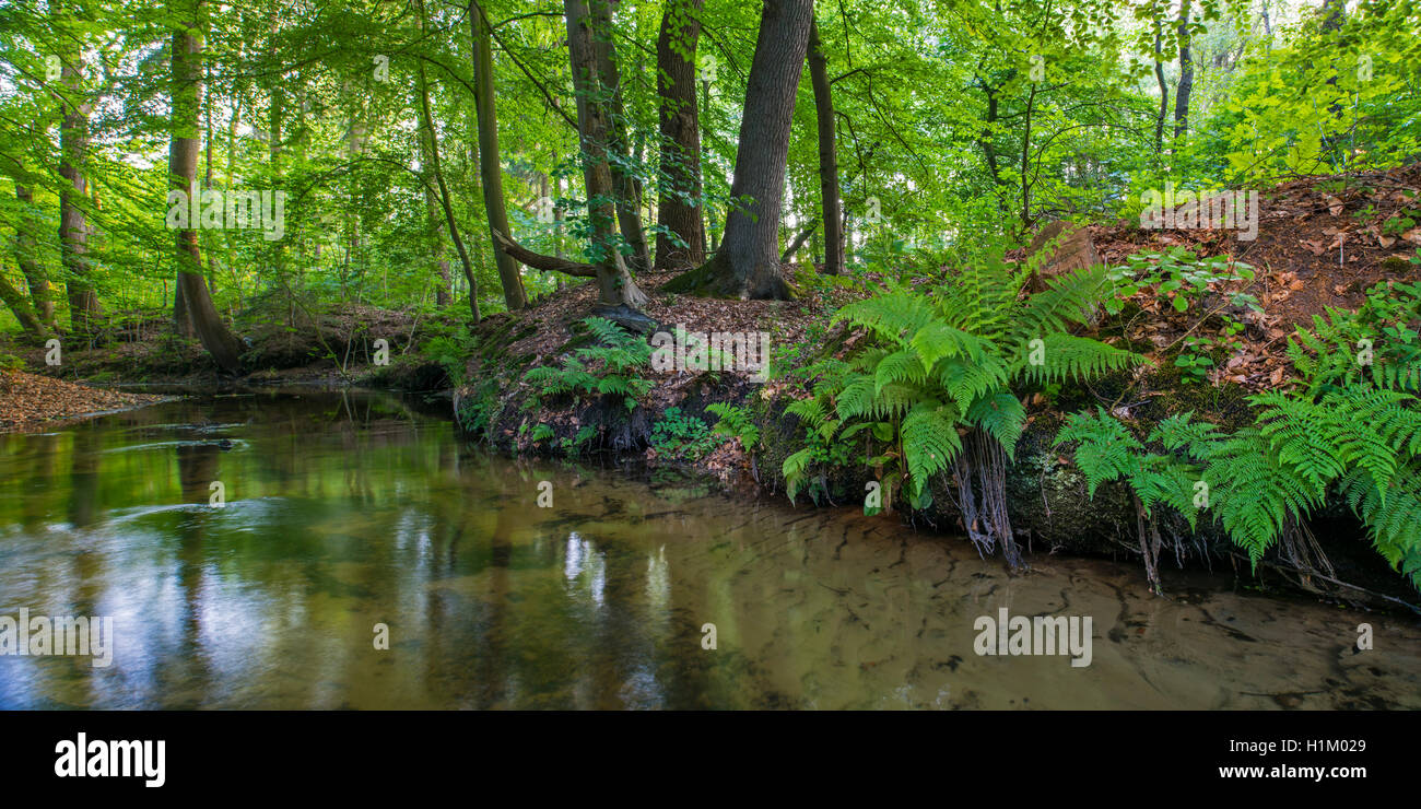 Visbek hi-res stock photography and images - Alamy