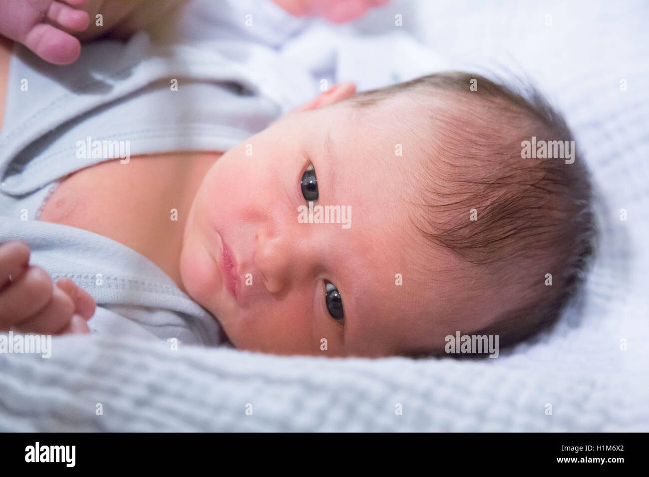 A one week baby girl Stock Photo - Alamy