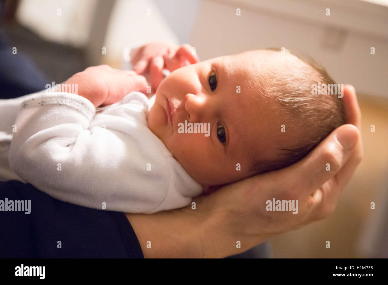 A one week baby girl Stock Photo - Alamy
