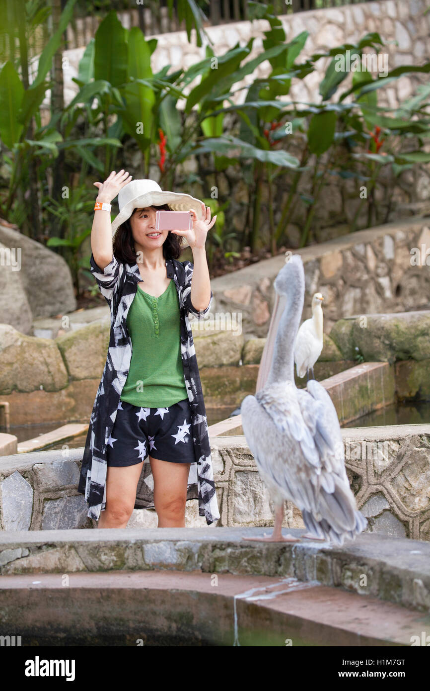 Japanese woman tourist photographing a bird at the KL Bird Park in ...
