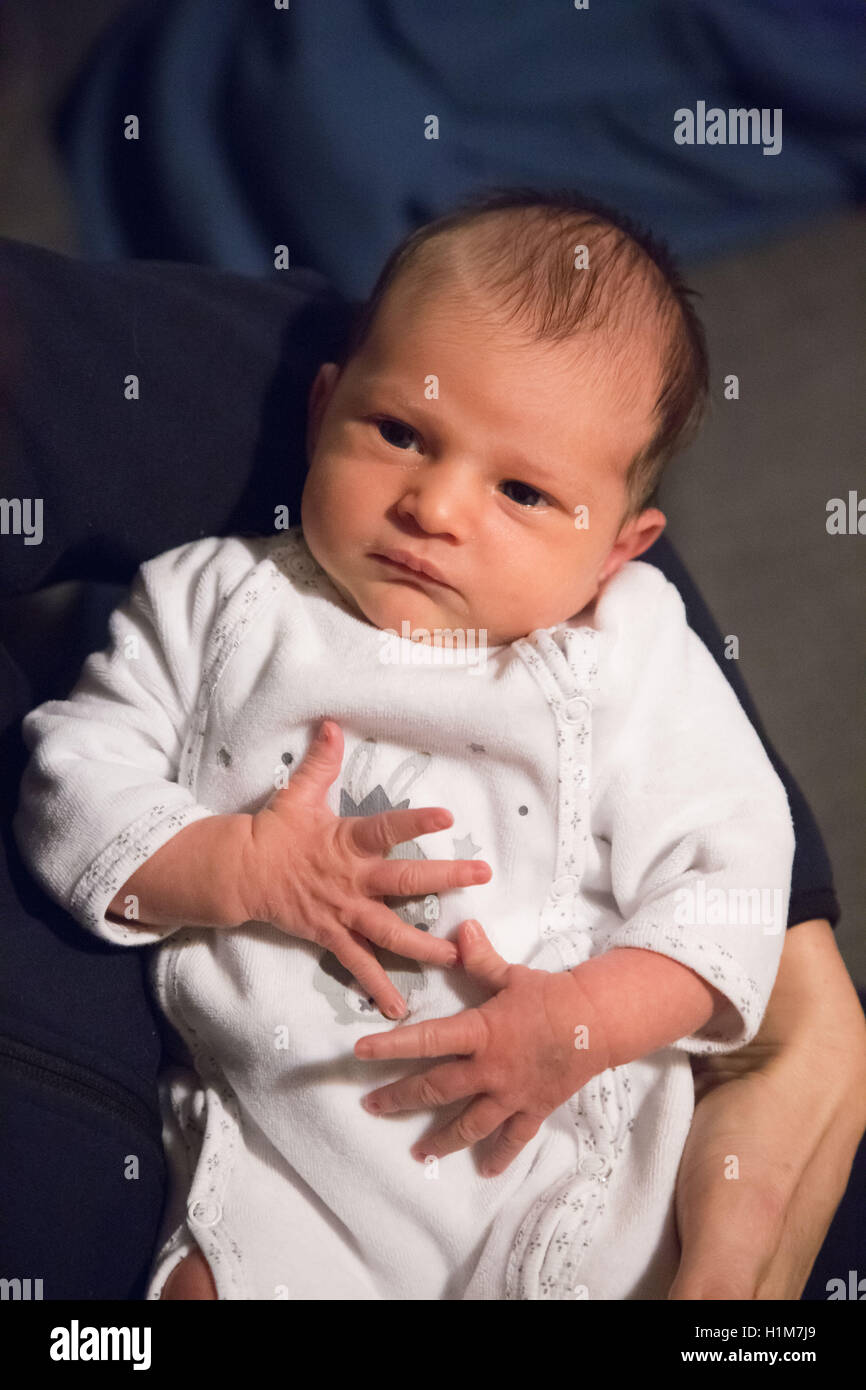A one week baby girl Stock Photo - Alamy