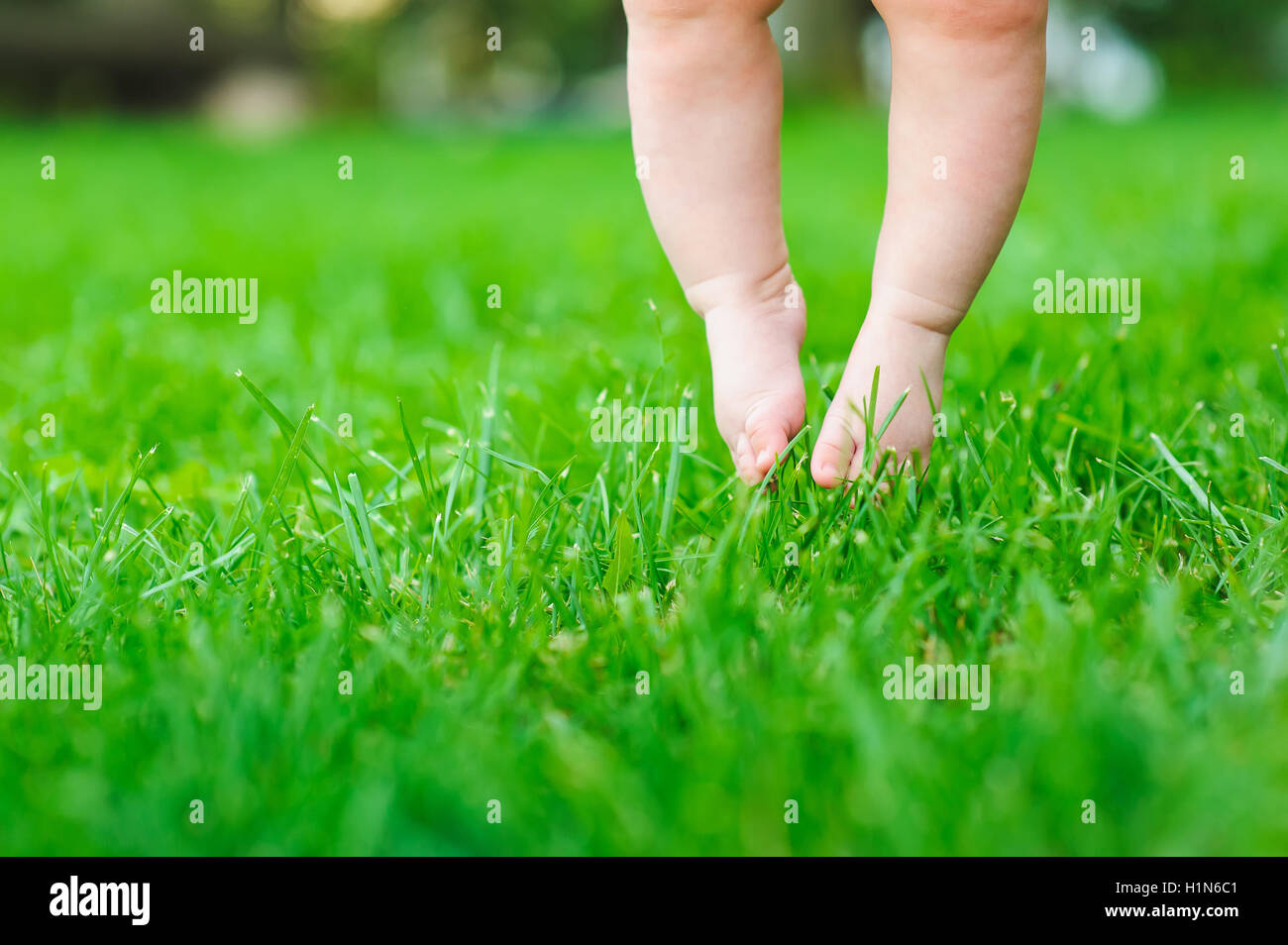 Baby feeling grass for the first time. Child's feet touch the grass ...