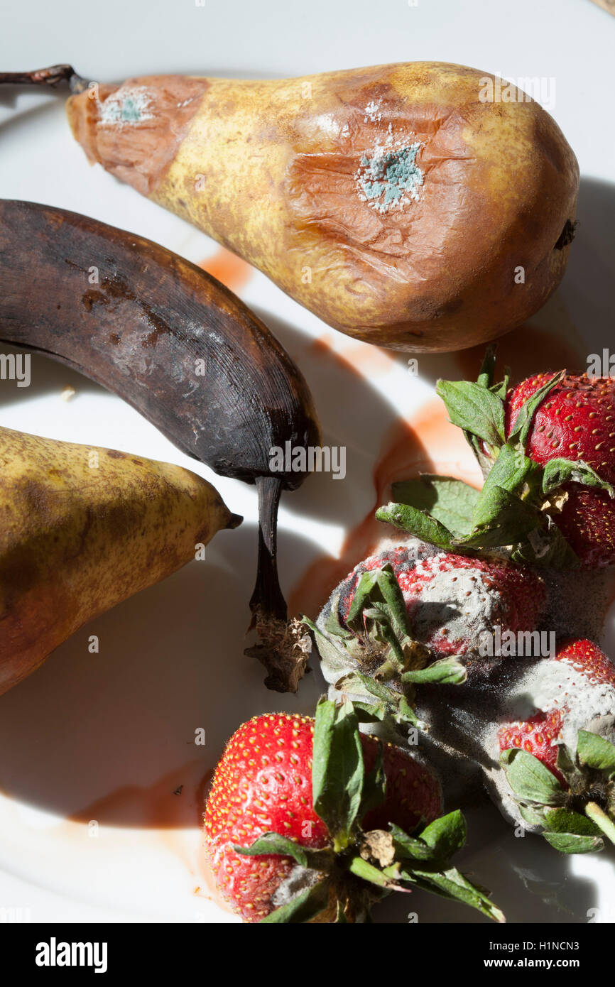 Fruit, rotting and going mouldy on a white plate covered in green ...