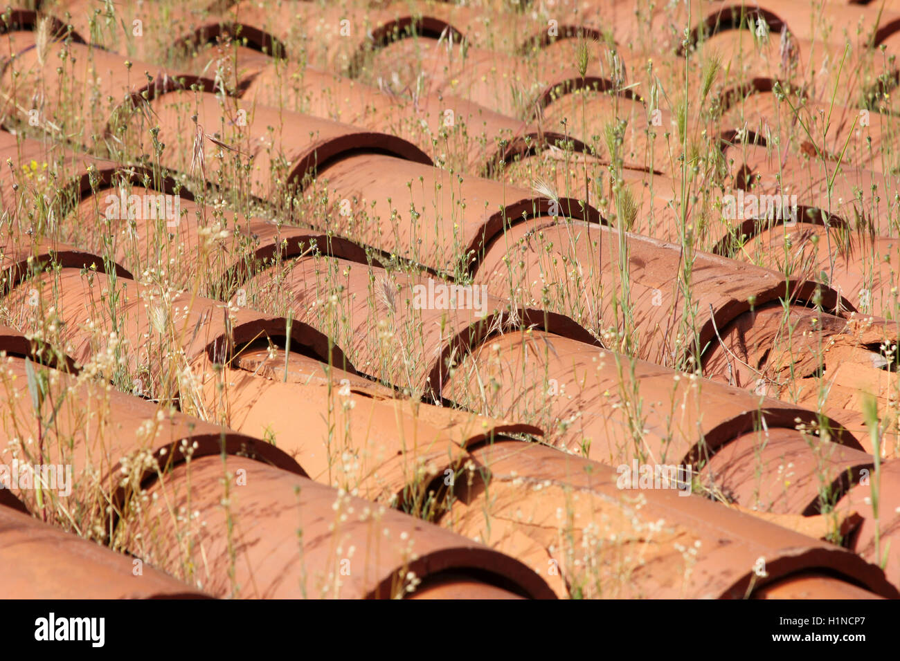 Neglected roof tiles hi-res stock photography and images - Alamy