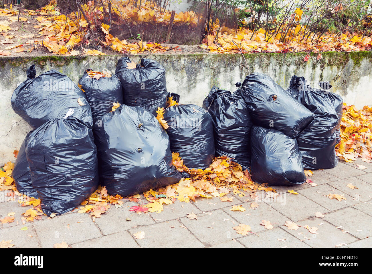Bags of leaves for disposal hi-res stock photography and images - Alamy