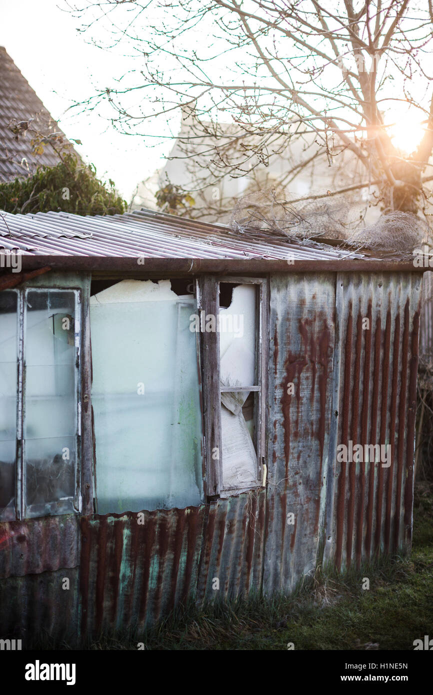 Old tin shed run down and left to rot on an allotment covered in frost ...