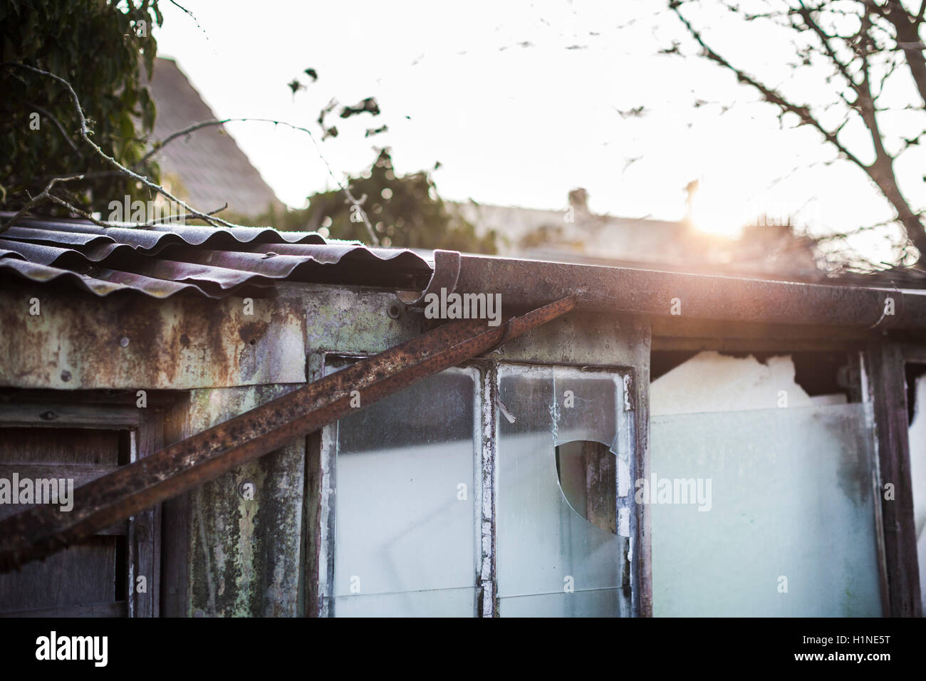 Old tin shed run down and left to rot on an allotment covered in frost ...