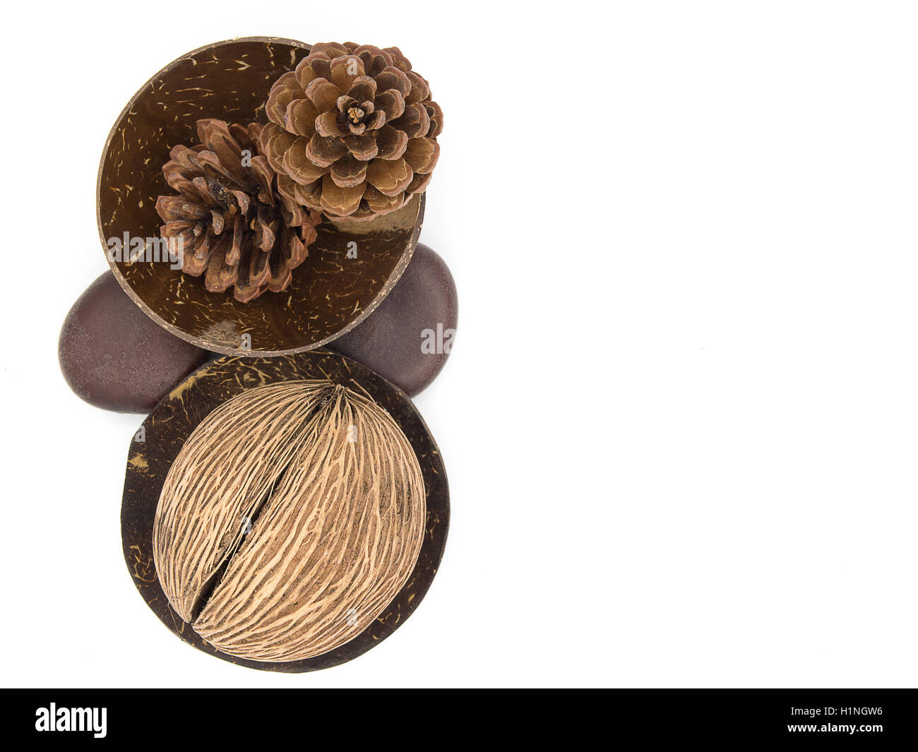 Dried coconut shell hi-res stock photography and images - Alamy