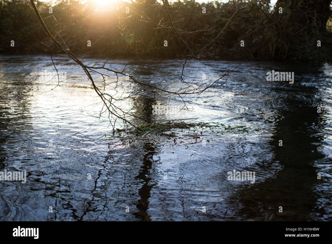 Pathway over field hi-res stock photography and images - Alamy