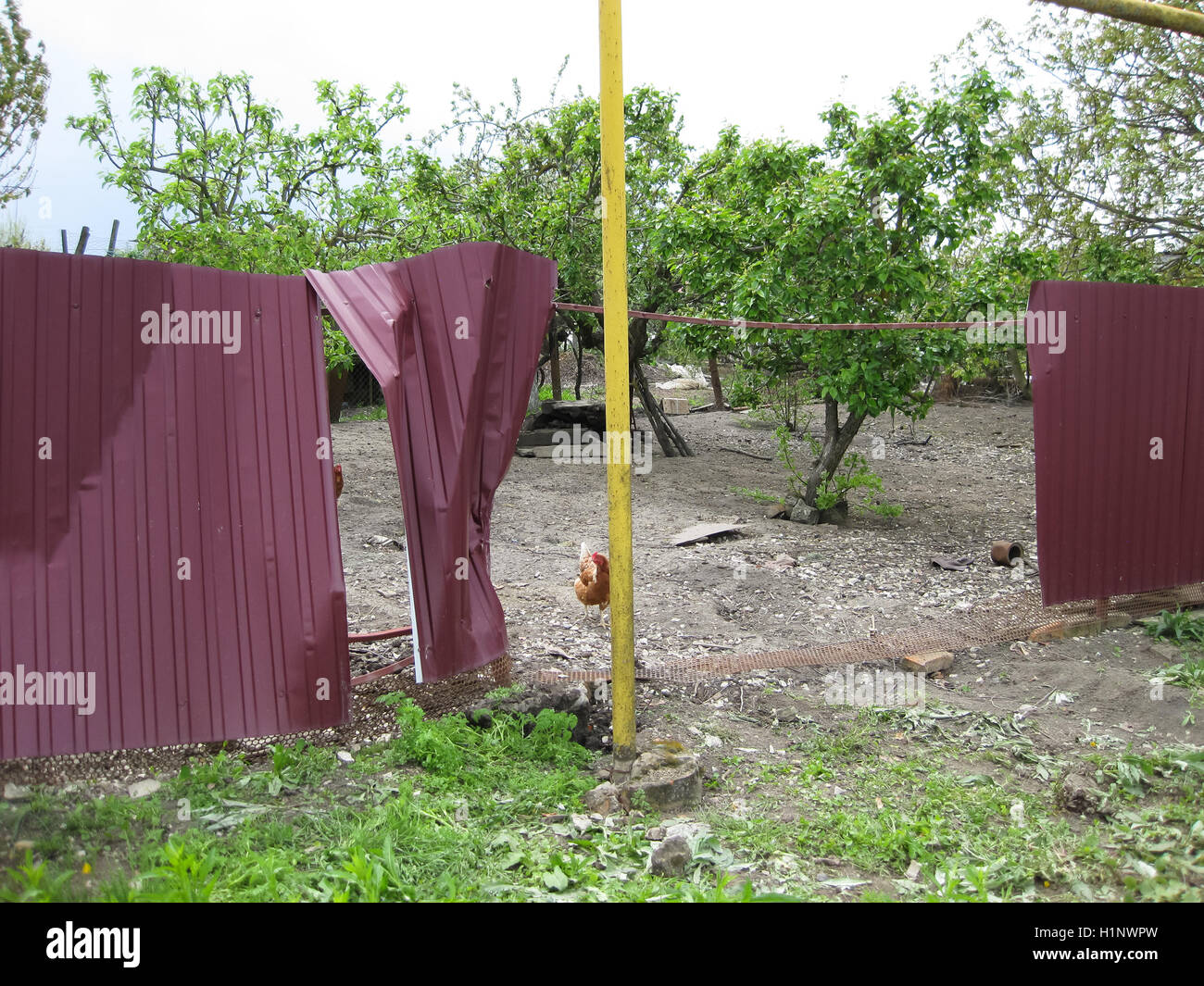 Mashed sheet metal profile fence. Mashed car corrugated metal sheets ...