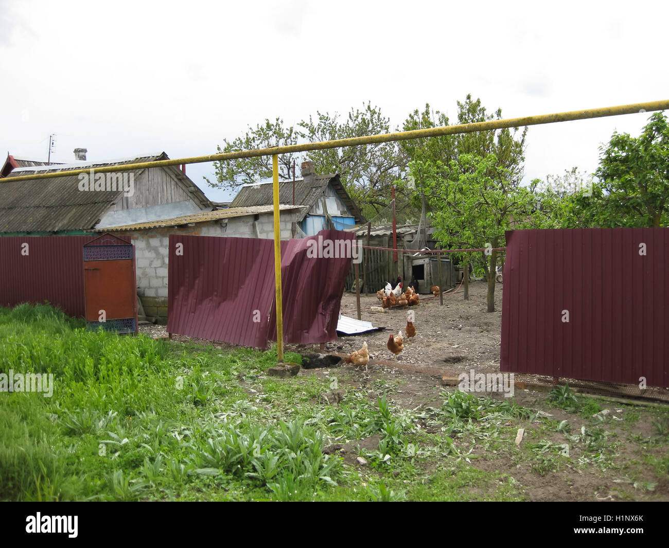 Mashed sheet metal profile fence. Mashed car corrugated metal sheets ...