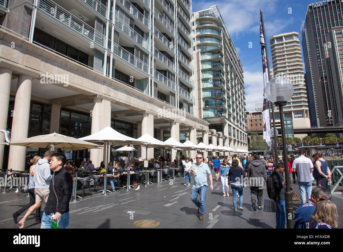 Cafes circular quay sydney new south wales australia tourism hi-res ...
