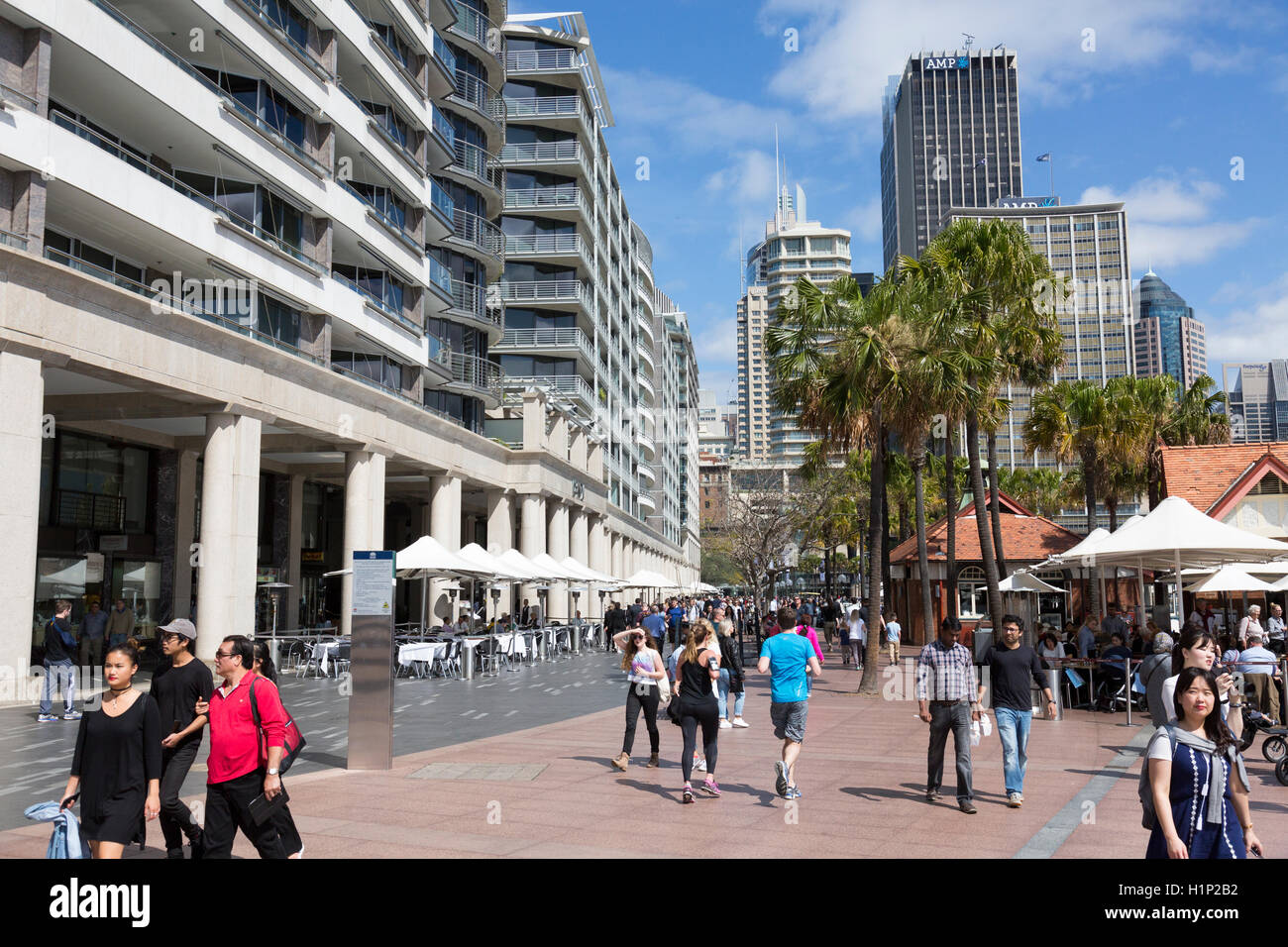 Cafes circular quay sydney new south wales australia tourism hi-res ...