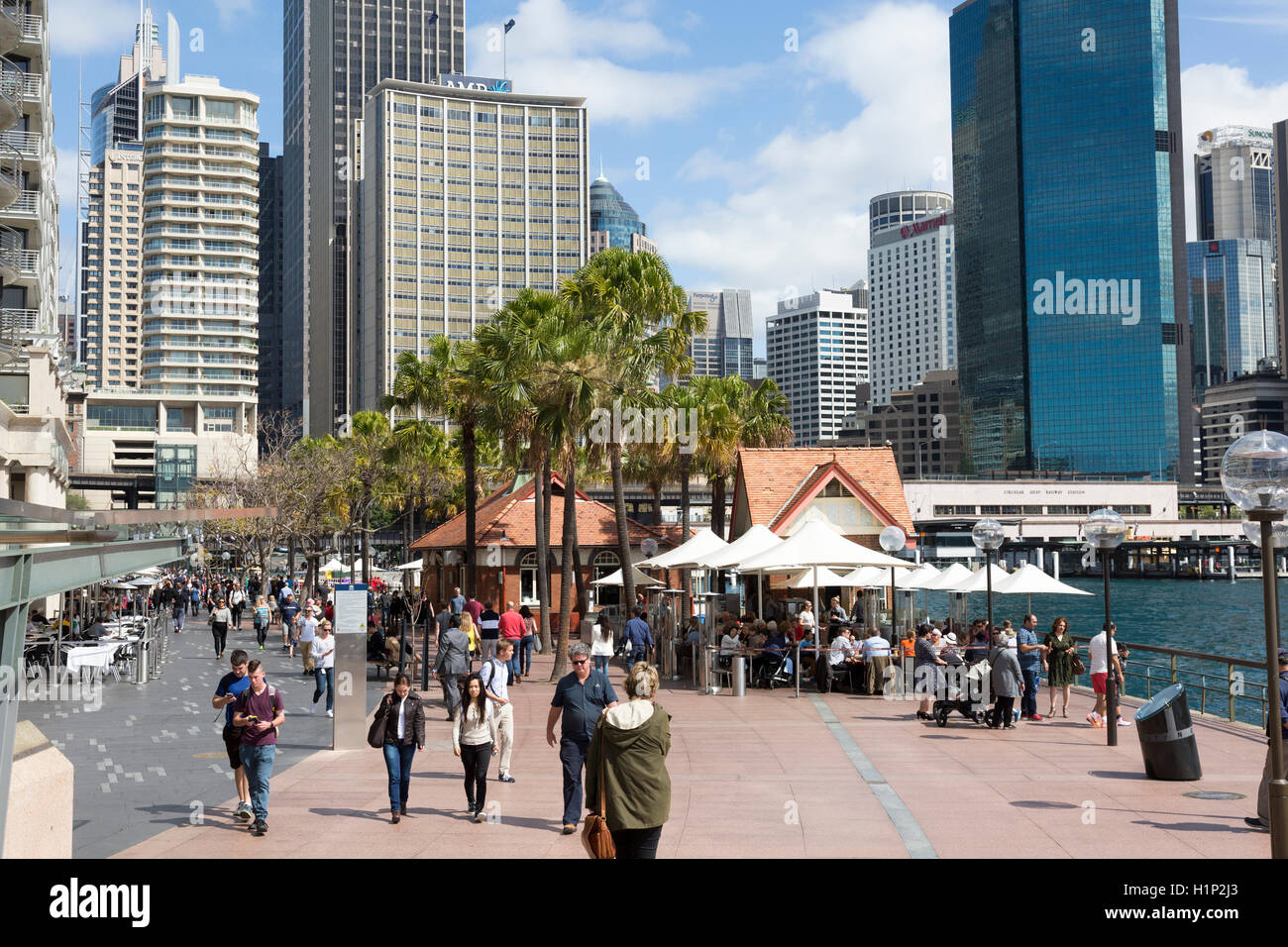 Cafes circular quay sydney new south wales australia tourism hi-res ...