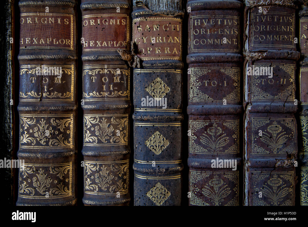 Biblioteca Joanina at University of Coimbra, Portugal Stock Photo - Alamy