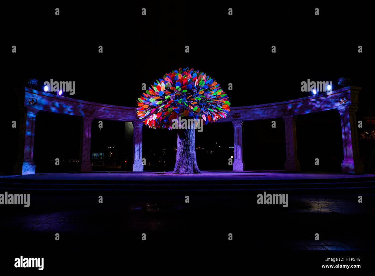 Happiness tree hi-res stock photography and images - Alamy