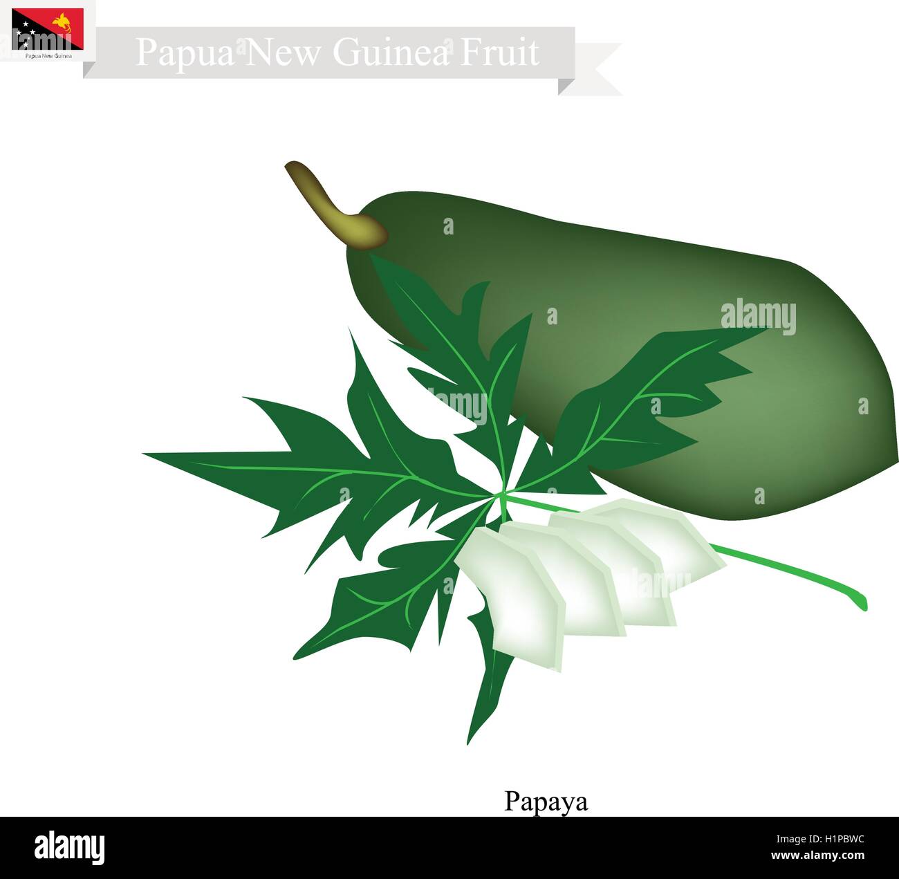 Papua new guinea fruit illustration hi-res stock photography and images ...