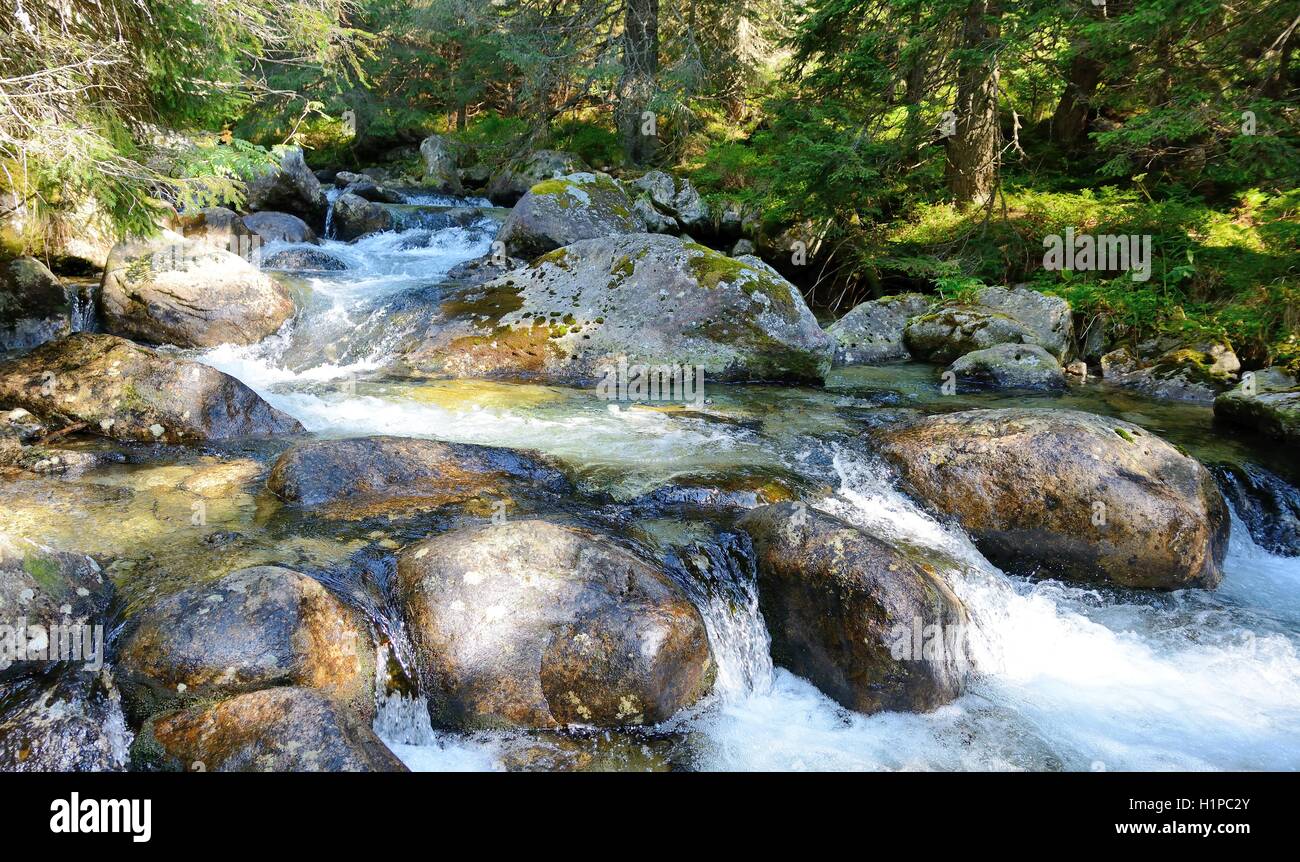 Flowing water over rocks in the stream. Mountain stream flowing down ...