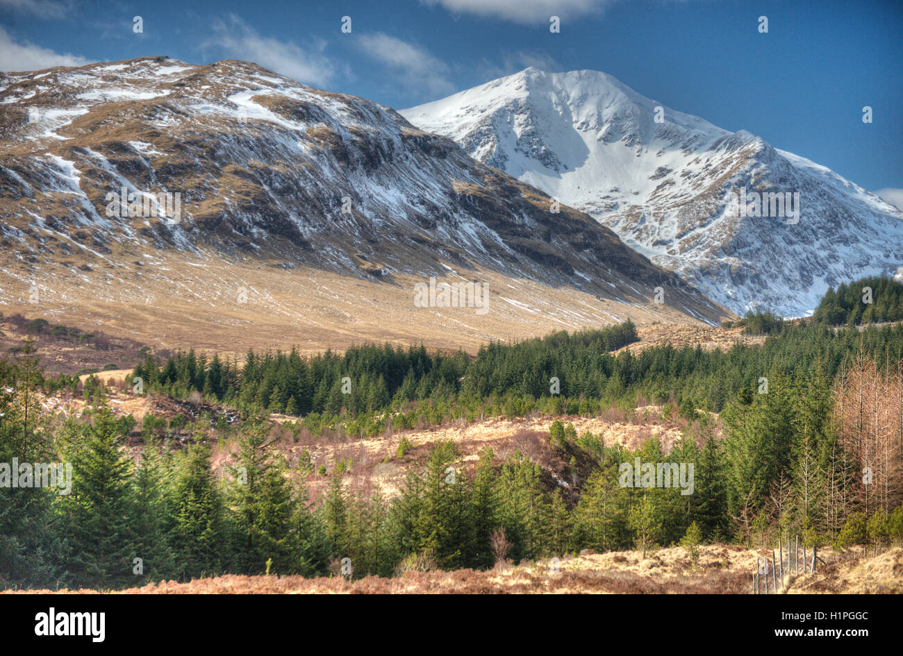 Ben lui hi-res stock photography and images - Alamy