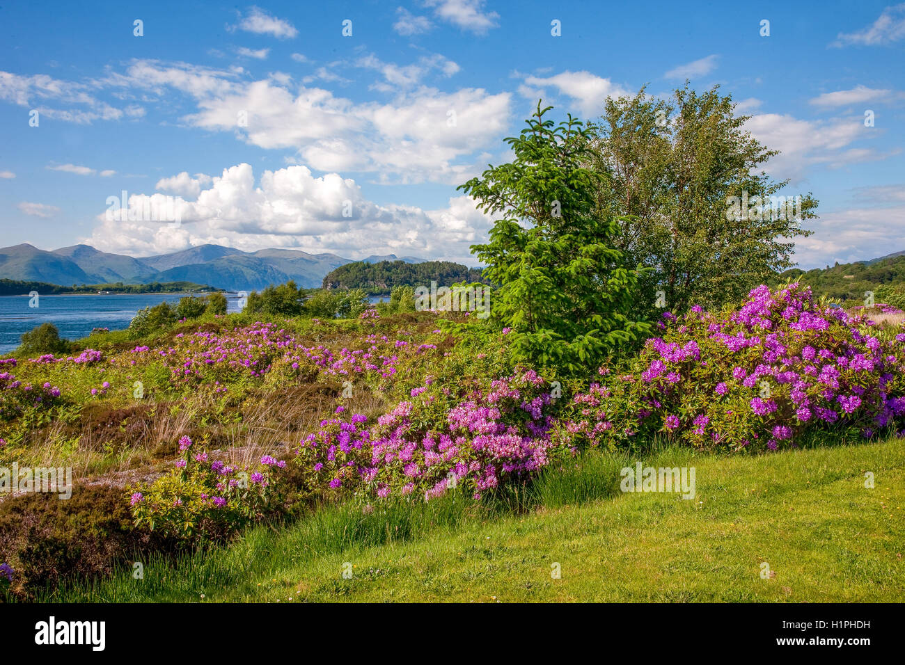 Morvern hills hi-res stock photography and images - Alamy