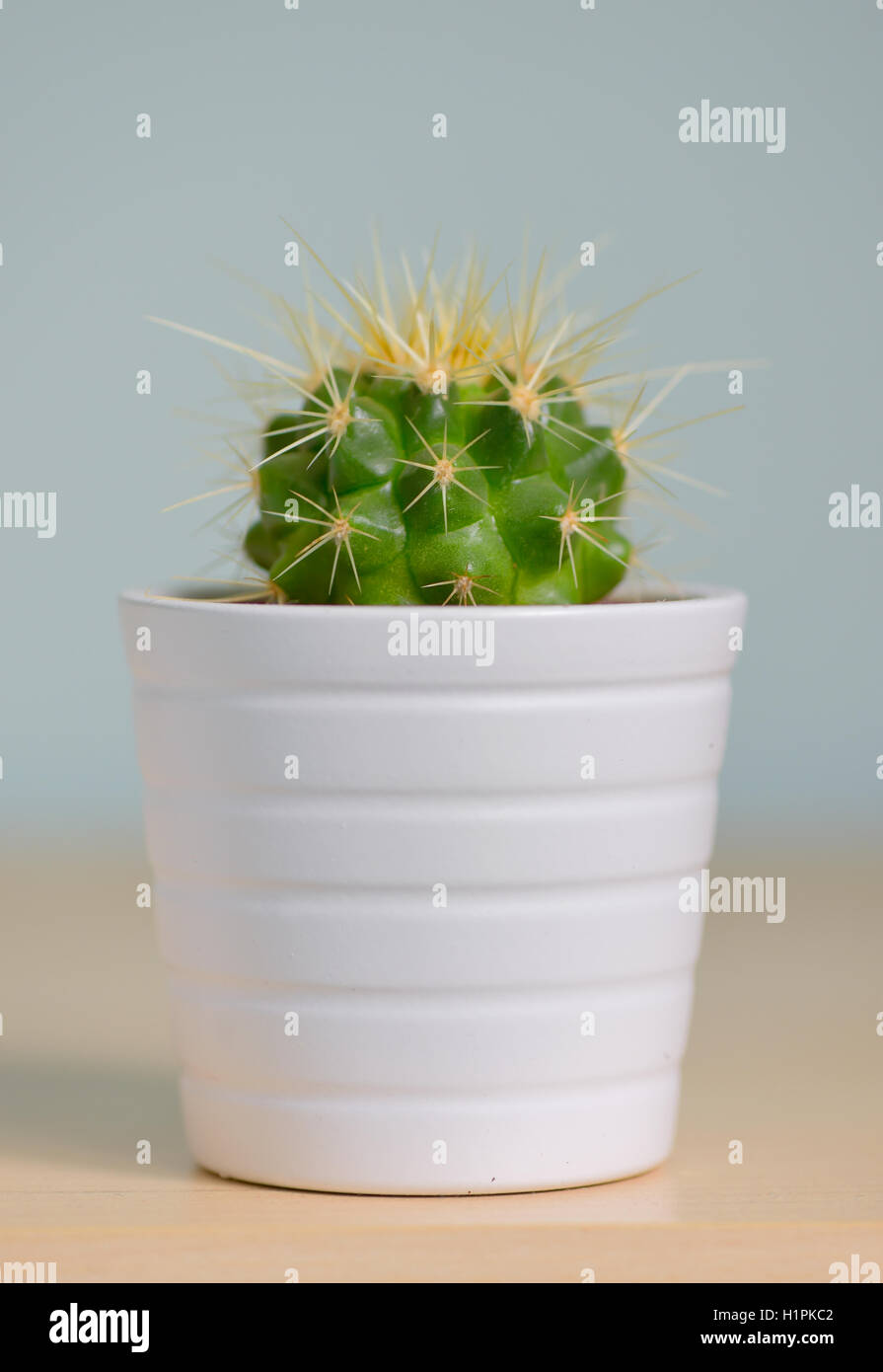 Single pot hi-res stock photography and images - Alamy